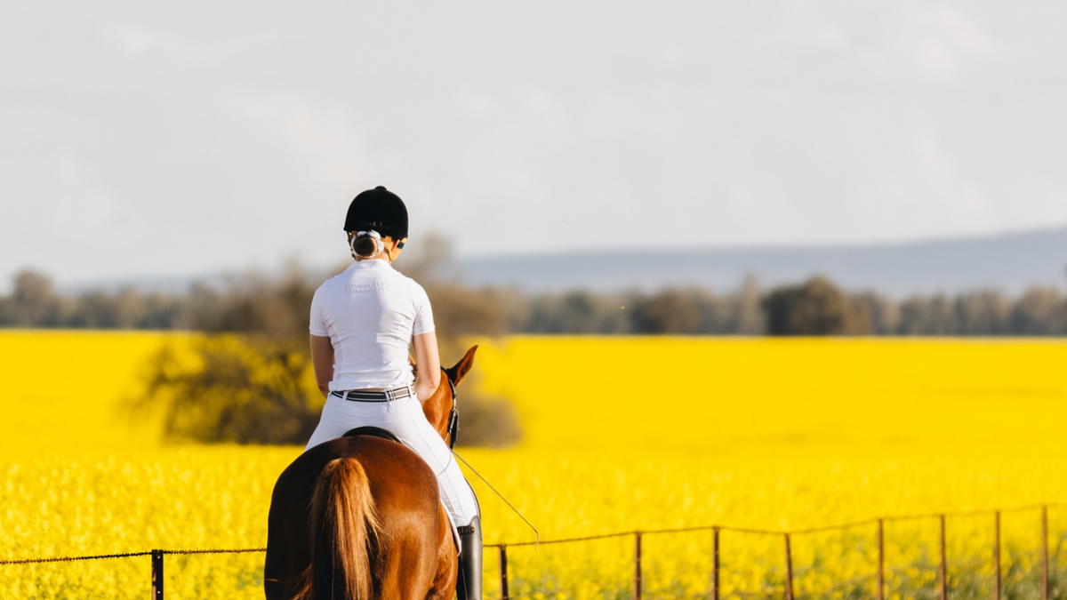 EQUESTRIAN COLLECTIVE | Equestrian Clothing Australia – Equestrian ...